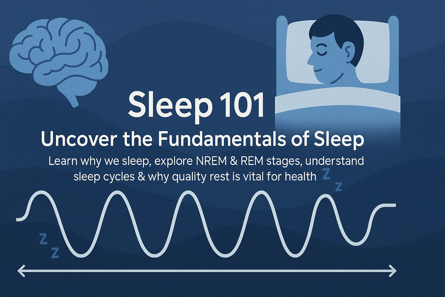 Sleep 101: Understanding the Fundamentals
